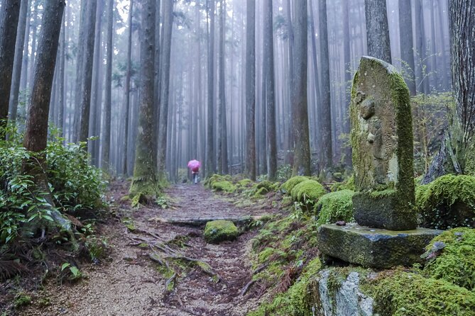 Kumano Kodo Pilgrimage Tour With Licensed Guide & Vehicle - Experiencing the Rich Cultural Heritage