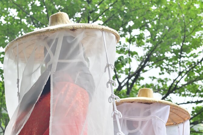 Kumano Kodo Pilgrimage Tour With Licensed Guide & Vehicle - Navigating the Tour With a Licensed Local Guide