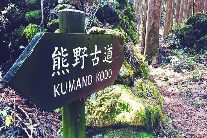 Kumano Kodo Pilgrimage Tour With Licensed Guide & Vehicle - Transportation and Accessibility Considerations