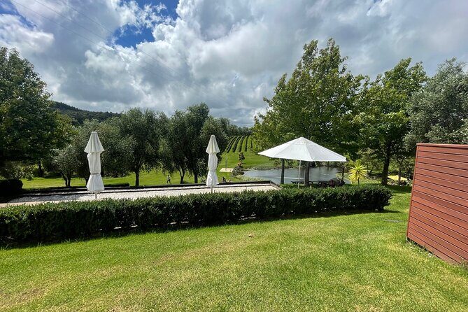 Kumeu Wine Tour - An Introduction to the Kumeu Wine Tour
