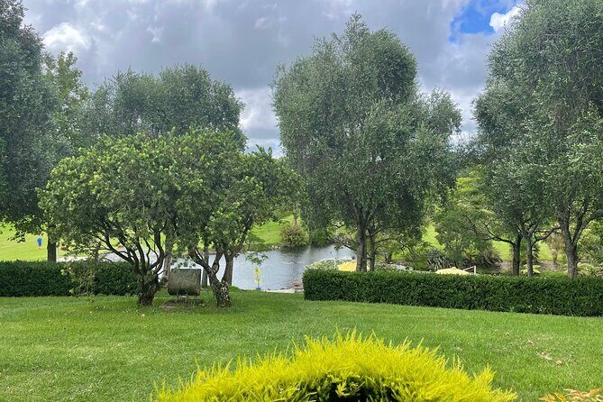 Kumeu Wine Tour - What the Reviews Tell Us
