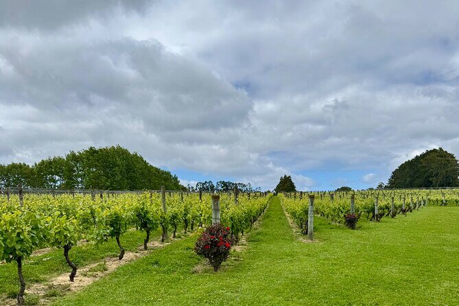 Kumeu Wineries & Brewery - FAQ