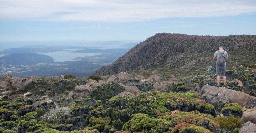 Kunanyi & Mt Wellington Explorer Bus: One-Way Bus Pass - A Closer Look at the Kunanyi & Mt Wellington Explorer Bus Experience