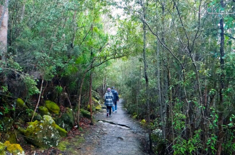 Kunanyi & Mt Wellington Explorer Bus: One-Way Bus Pass - Practicalities and Tips