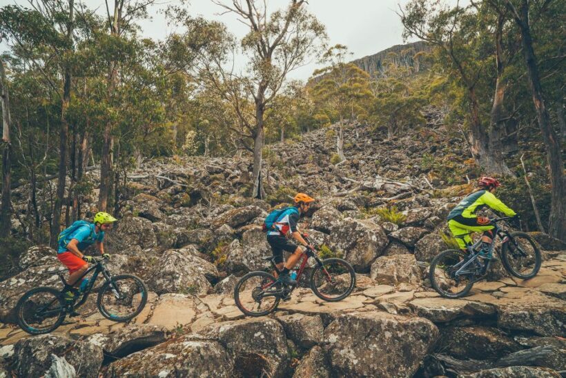 Kunanyi & Mt Wellington Explorer Bus: One-Way Bus Pass - The Sum Up: Who Is This Tour Best For?