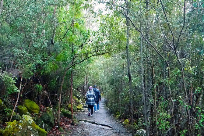 kunanyi/Mt Wellington Explorer Bus - One Way Tour - Key Points