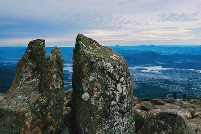kunanyi/Mt Wellington Tour and MONA Admission - Itinerary Breakdown