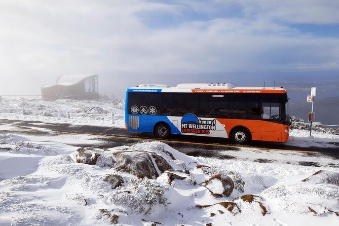kunanyi/Mt Wellington Tour & Hobart Hop-On Hop-Off Bus - The Bottom Line: Who Should Book This Tour?