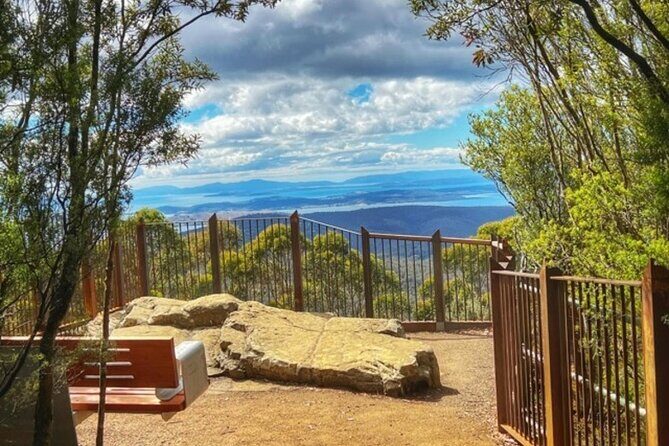 kunanyi/Mt Wellington Ultimate Experience Afternoon Tour - Analyzing the Tour’s Value