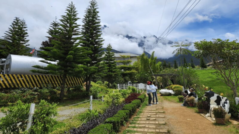 Kundasang: Day Tour with Desa Dairy Farm and Alpaca Club - FAQ