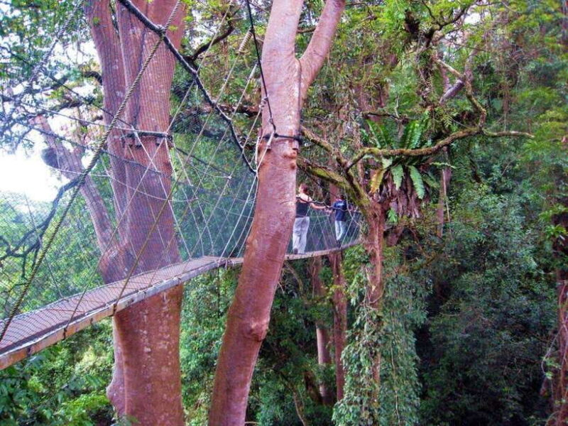 Kundasang : Poring Hot Spring + Desa & Meal Shared Tour - Who Will Love This Tour?