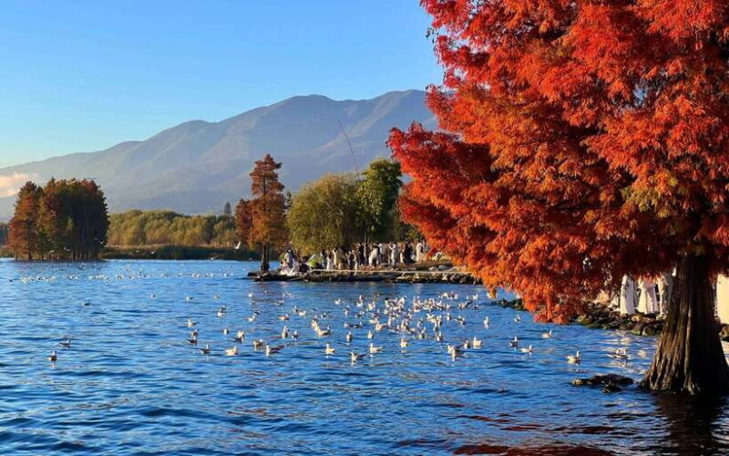 Kunming: 8-Day Yunnan Impression Tour - What You’ll Love About This Tour