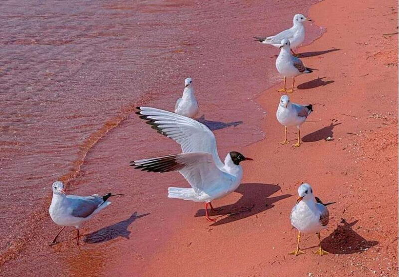 Kunming: Fuxian Lake Private Tour - Key Points