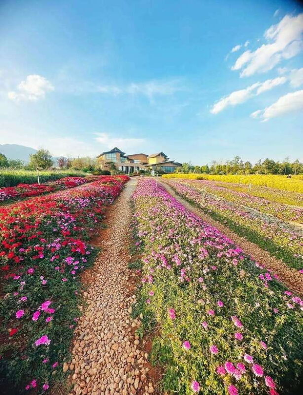 Kunming: Fuxian Lake Private Tour - What Travelers Say