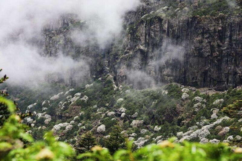 Kunming: Jiaozi (Sedan Chair) Snow Mountain Hiking Day Trip - Key Points