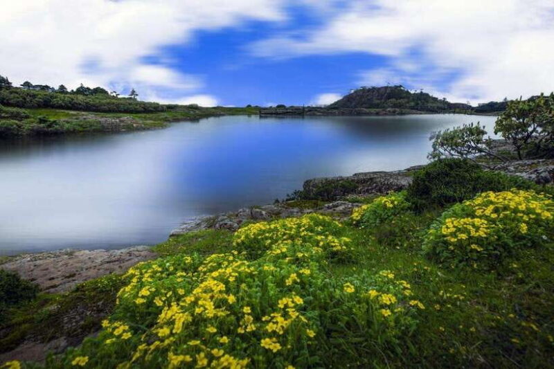 Kunming: Jiaozi (Sedan Chair) Snow Mountain Hiking Day Trip - Evaluating the Price and Overall Value