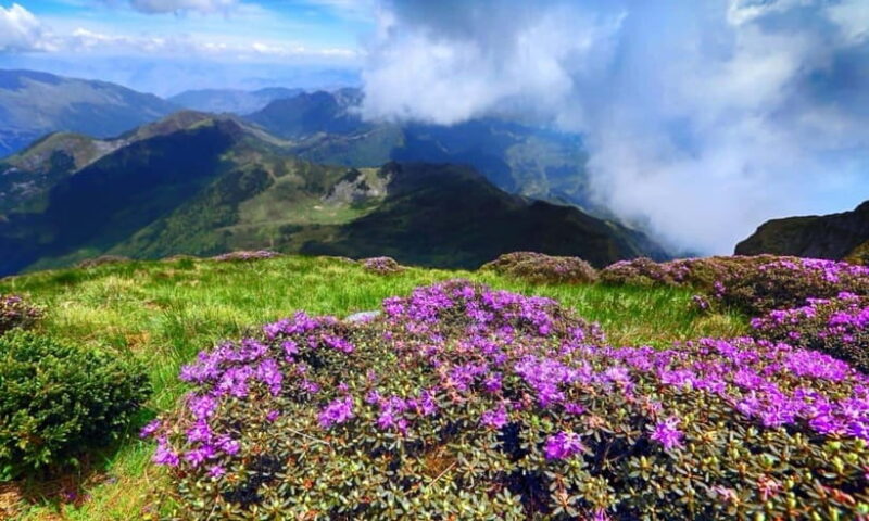 Kunming: Jiaozi (Sedan Chair) Snow Mountain Hiking Day Trip - The Sum Up: Is Jiaozi Snow Mountain Worth It?