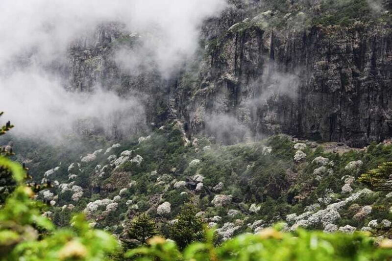 Kunming: Jiaozi (Sedan Chair) Snow Mountain Hiking Day Trip - FAQ