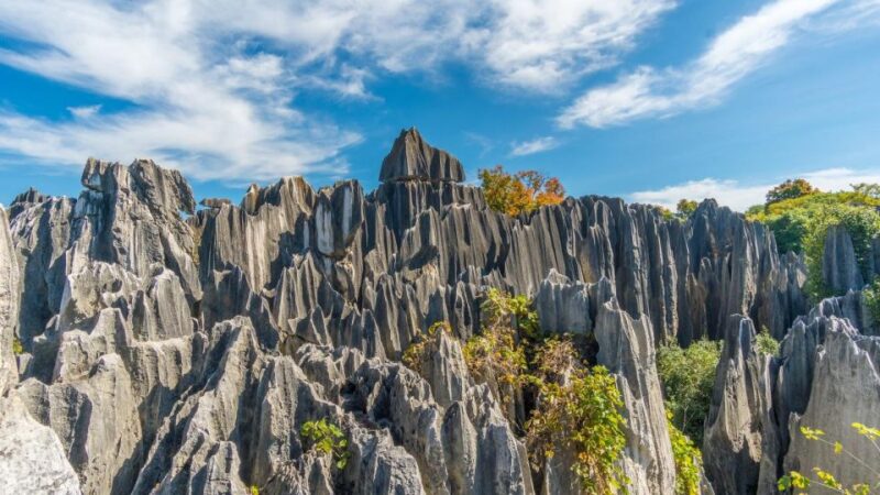 Kunming: Private Half Day Tour of Stone Forest Park w/Option - Key Points