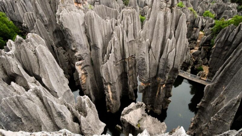 Kunming: Private Half Day Tour of Stone Forest Park w/Option - Authenticity and Insights from Travelers