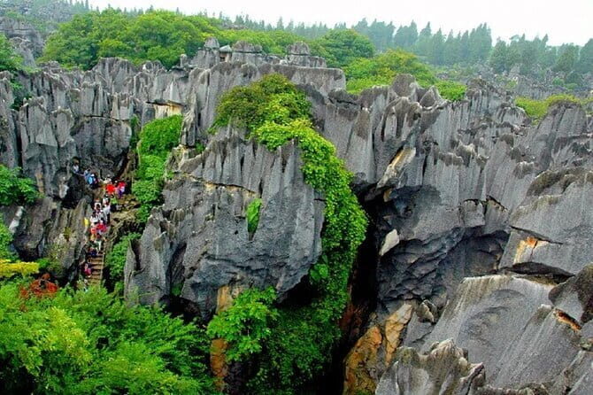 Kunming Stone Forest + Kunming City Private Tour - Introducing the Kunming Stone Forest + City Private Tour