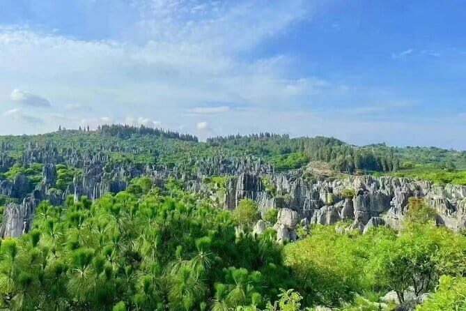 Kunming Stone Forest + Kunming City Private Tour - What Travelers Say About This Tour