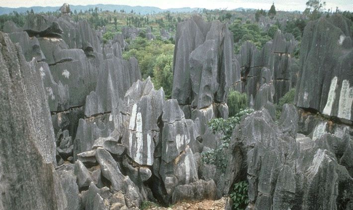 Kunming: Stone Forest Private Day Tour - Key Points