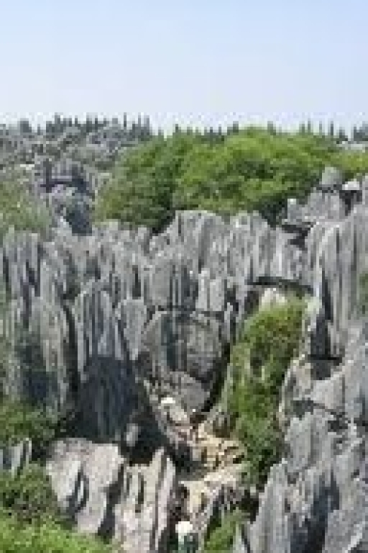 Kunming: Stone Forest Private Day Tour - The Itinerary in Detail