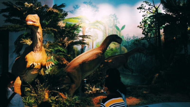 Kunming: Yunnan Provincial Museum Entry Reservation - Authenticity and Cultural Insight