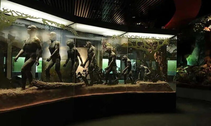 Kunming: Yunnan Provincial Museum Private Tour (Half Day) - Discovering the Yunnan Museum: A Window into the Past