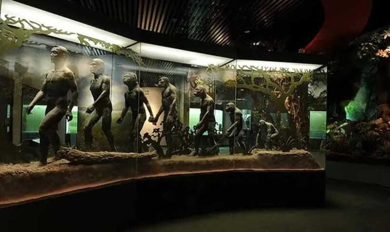 Kunming: Yunnan Provincial Museum Private Tour (Half Day) - How the Tour Fits into Your Kunming Visit