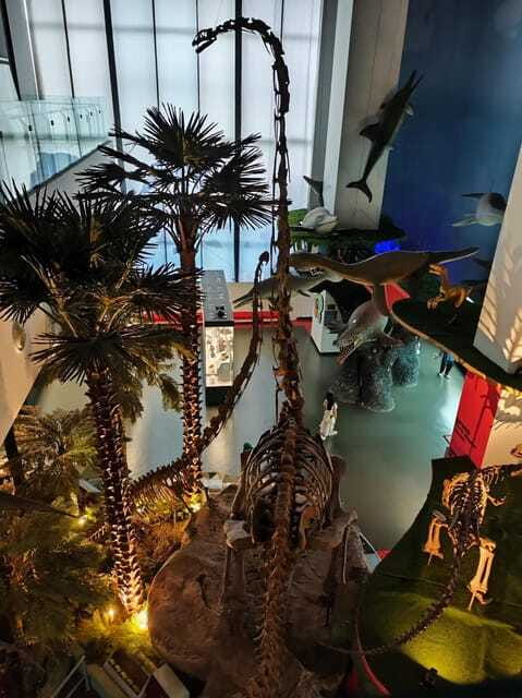 Kunming: Yunnan Provincial Museum Private Tour (Half Day) - The Sum Up