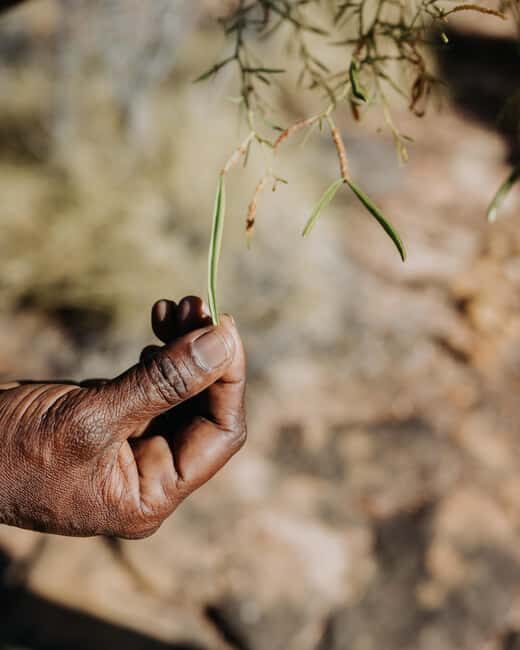 Kununurra: 2-Day Bungle Bungle Ranges 4WD Safari - FAQ