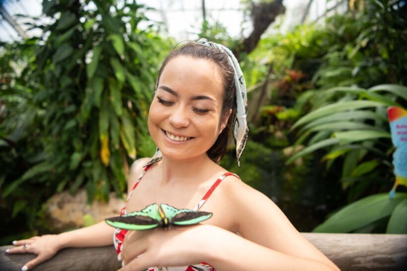 Kuranda: Australian Butterfly Sanctuary - Final Thoughts: Is the Australian Butterfly Sanctuary Worth Visiting?