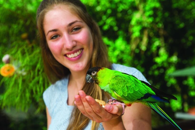 Kuranda: Birdworld Entry Ticket - Key Points