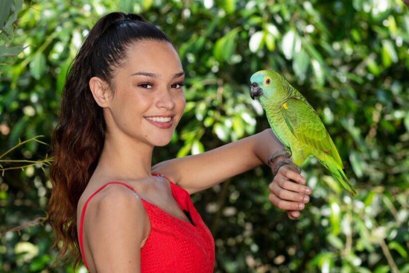 Kuranda: Birdworld Entry Ticket - Introduction: Why Birdworld Kuranda Is Worth a Look