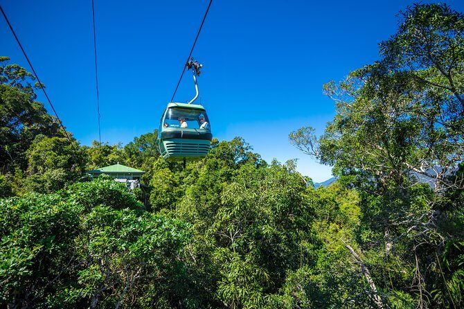 Kuranda Day Tour, TKS-RFS CLASSIC GOLD PLUS 0930 - An In-Depth Look at the Itinerary