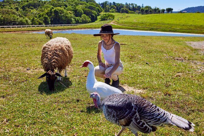 Kuranda Half Day Including Quad Bike Experience and Petting Zoo - The Sum Up: The Practical Choice for Active Families and Animal Enthusiasts
