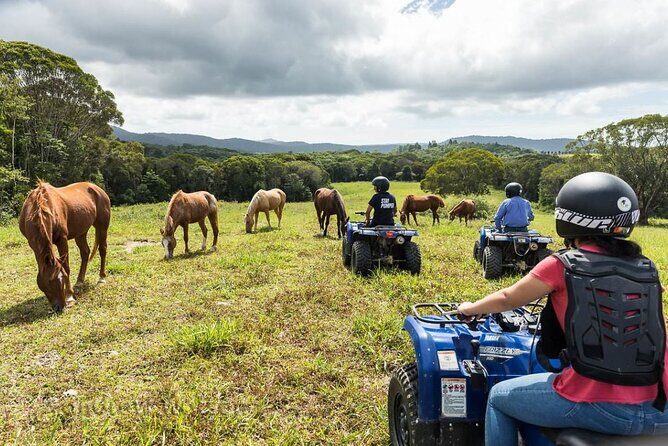 Kuranda Half Day Including Quad Bike Experience and Petting Zoo - FAQs