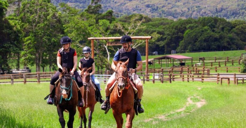 Kuranda Half Day with Petting Zoo & Horse Trail Ride Tour - What We Love About This Tour