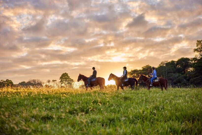 Kuranda Half Day with Petting Zoo & Horse Trail Ride Tour - Considering the Cost and Value