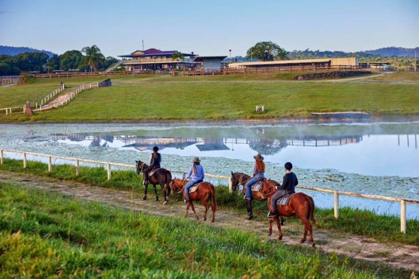 Kuranda Half Day with Petting Zoo & Horse Trail Ride Tour - Practical Tips for Your Visit