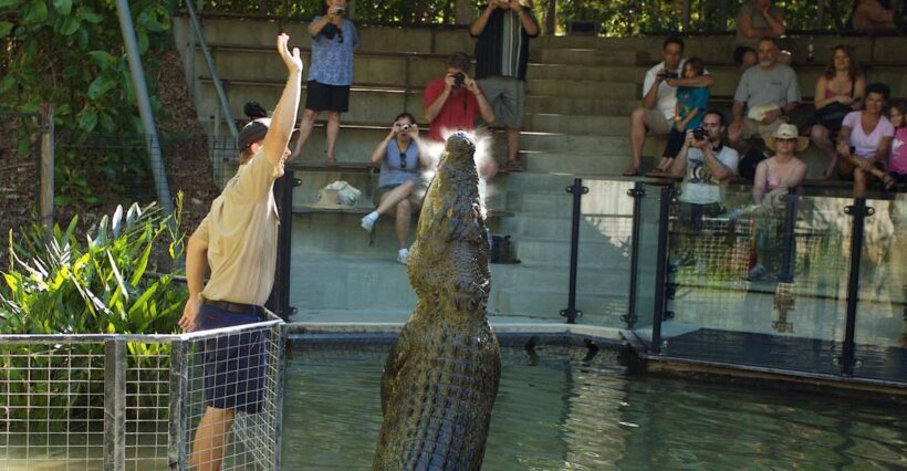 Kuranda & Hartley's Crocodile Adventures - Key Points