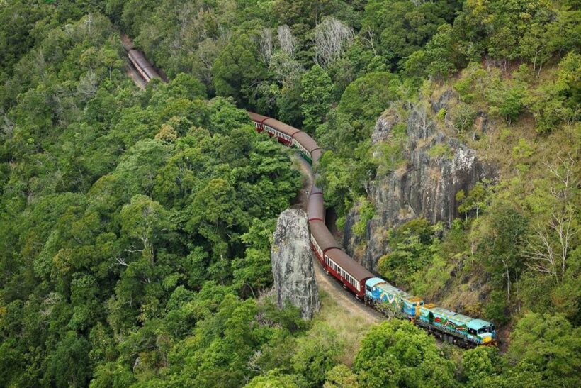 Kuranda & Hartley's Crocodile Adventures - The Itinerary in Detail: What to Expect