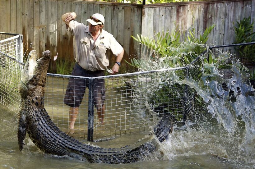 Kuranda & Hartley's Crocodile Adventures - Value for Money