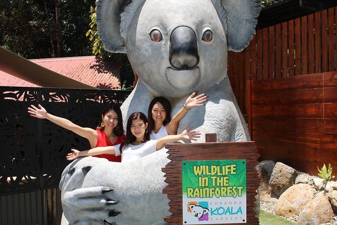 Kuranda Koala Gardens and Birdworld Admission Tickets - Key Points