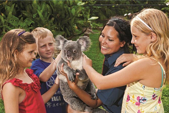 Kuranda Koala Gardens General Entry Ticket - Final Thoughts