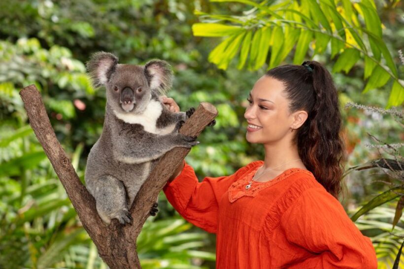 Kuranda Koala Gardens Park Entry - Exploring Kuranda Koala Gardens Park Entry: An Up-Close Look at Australia’s Wildlife
