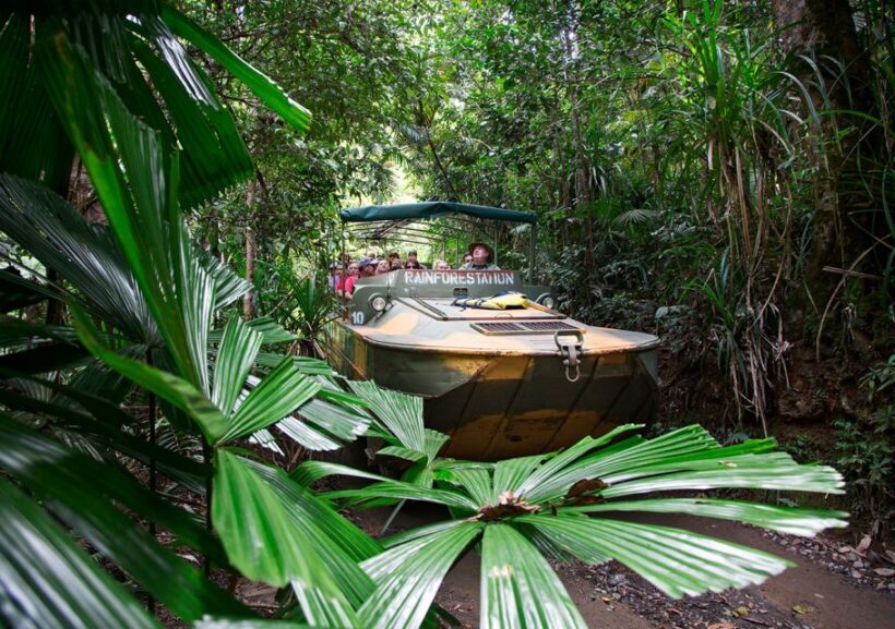 Kuranda: Rainforestation Nature Park - A Closer Look at What You Can Expect