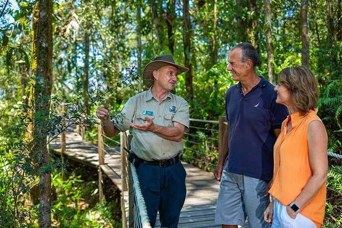 Kuranda Scenic Railway Day Trip from Palm Cove - The Pros and Cons
